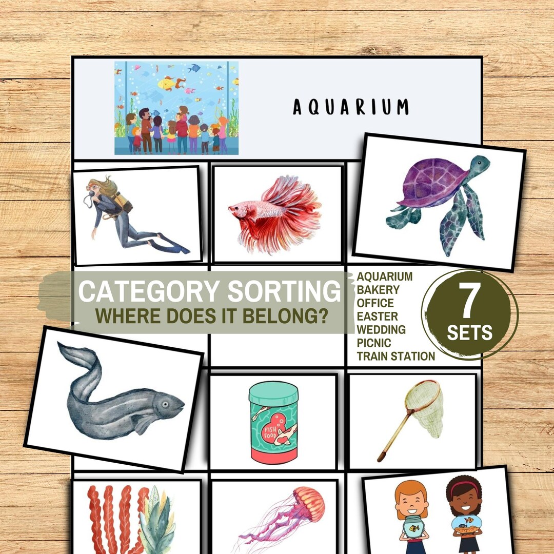 Where Does It Belong Printable Sorting Activity Cards, Making ...