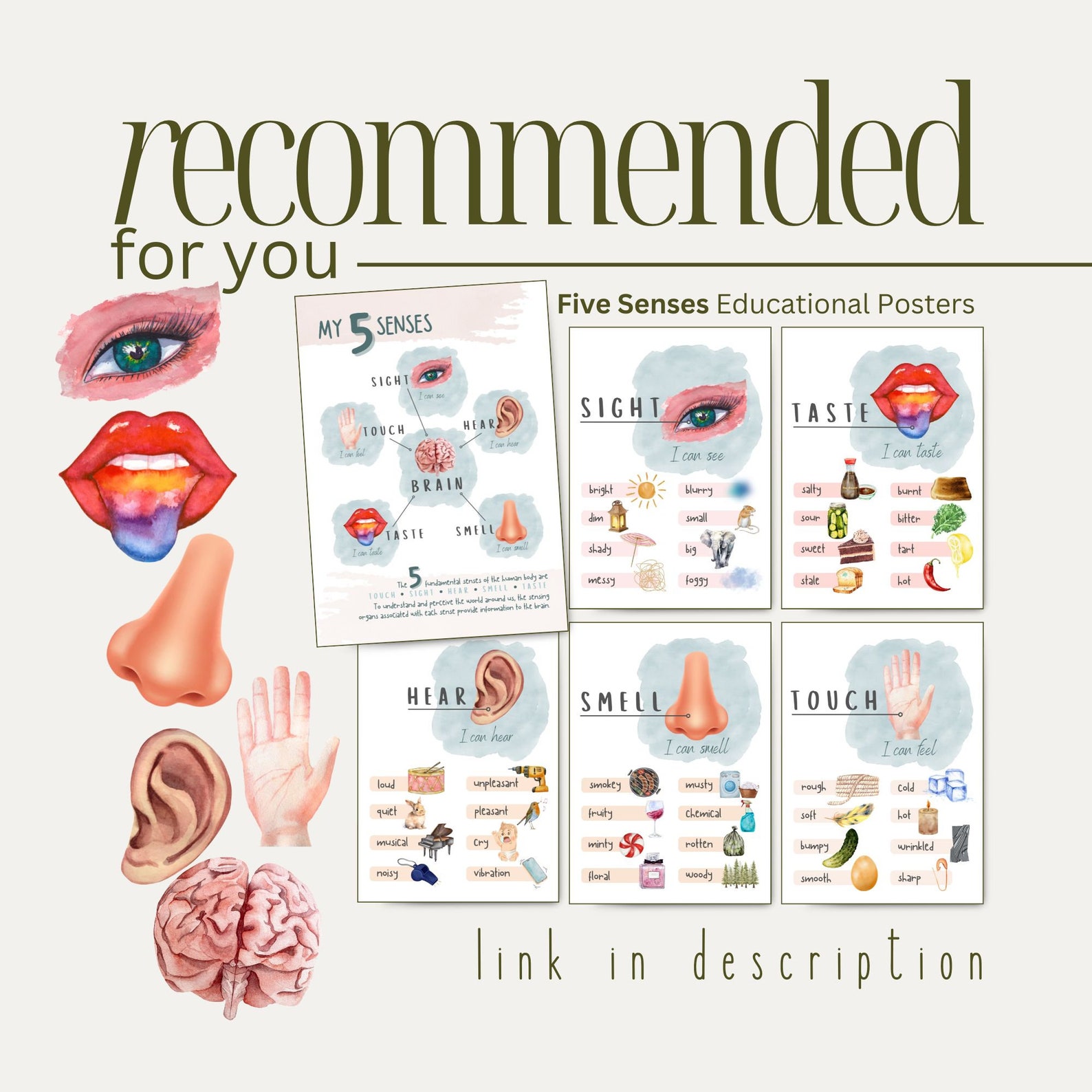 Five Senses Sorting Activity Printable, Kids Printable Game, Hear/touch ...