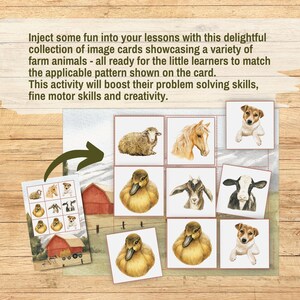 Farm Life Patterns Activity Sorting Picture Card Montessori Resource ...