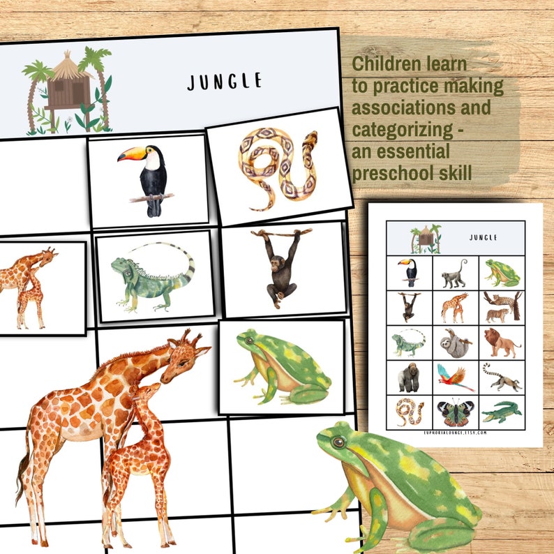 Where Does It Belong Printable Sorting Activity Cards Making ...