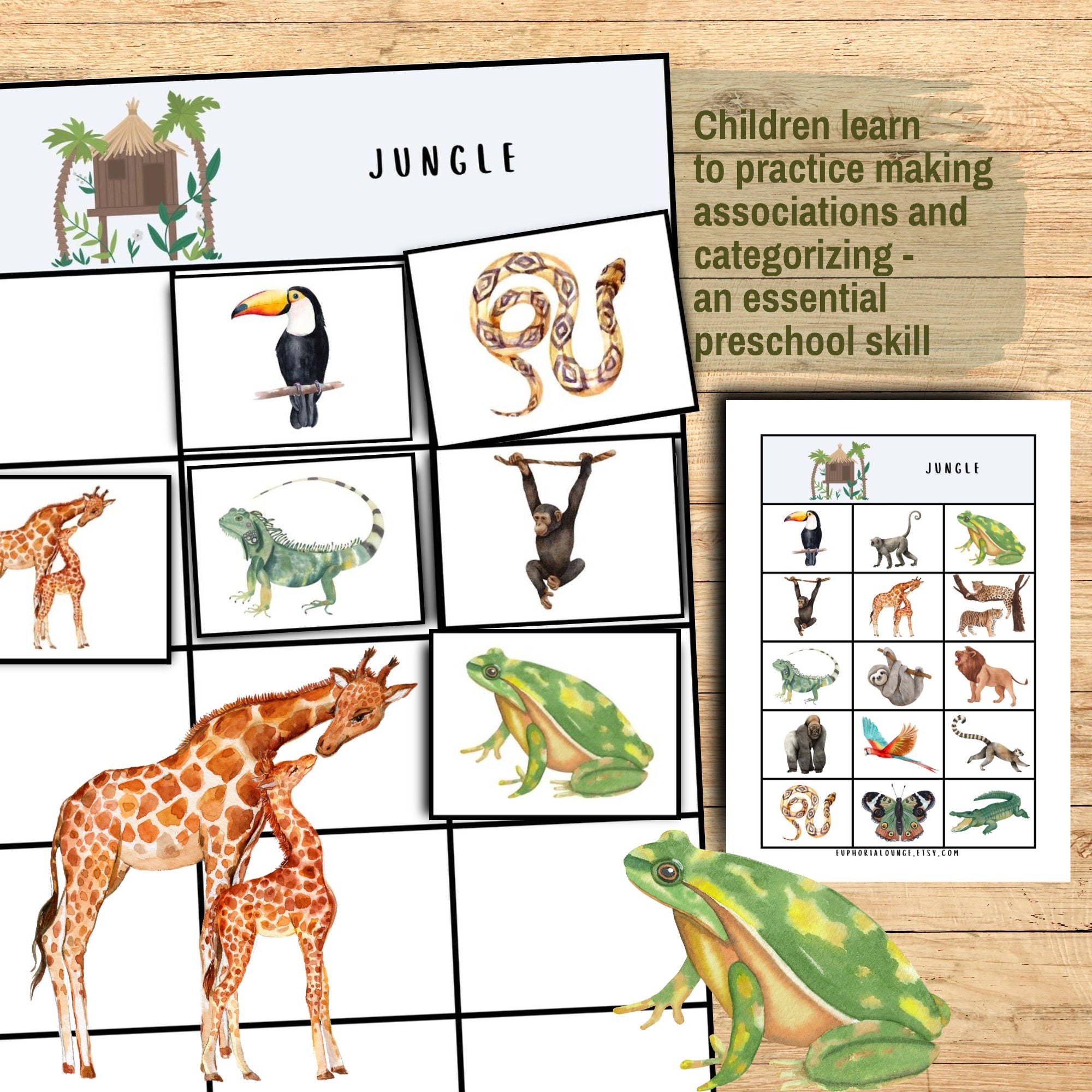 Where Does It Belong Printable Sorting Activity Cards Making ...