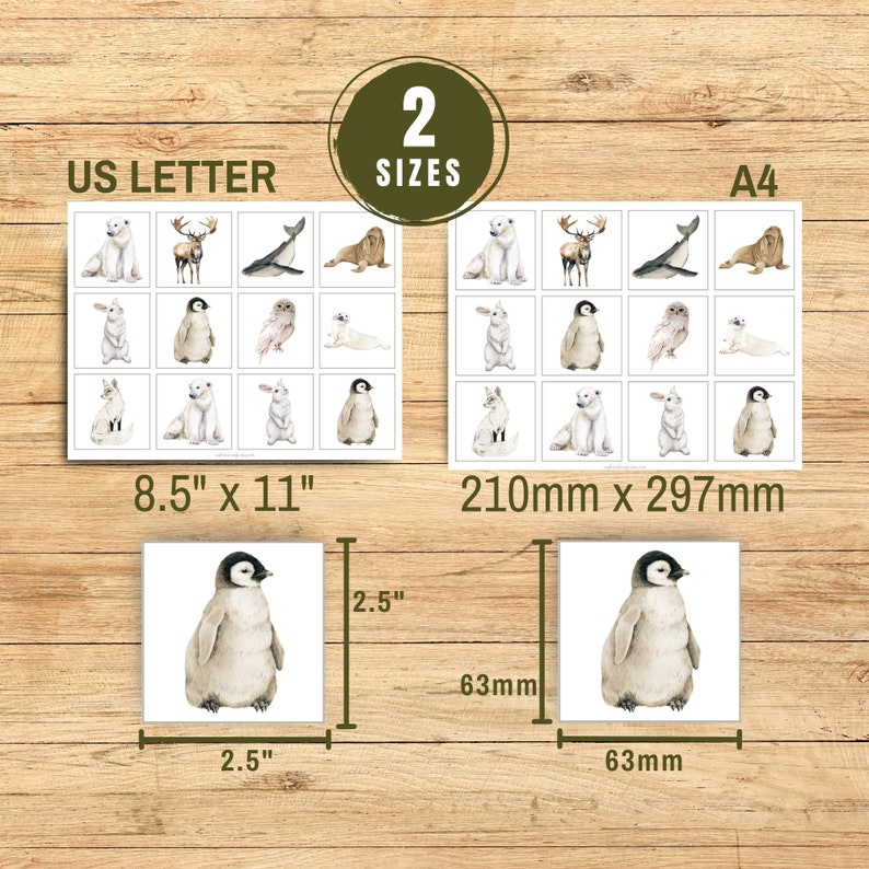 Arctic Life Pattern Activity Sorting Picture Card Montessori Resource ...