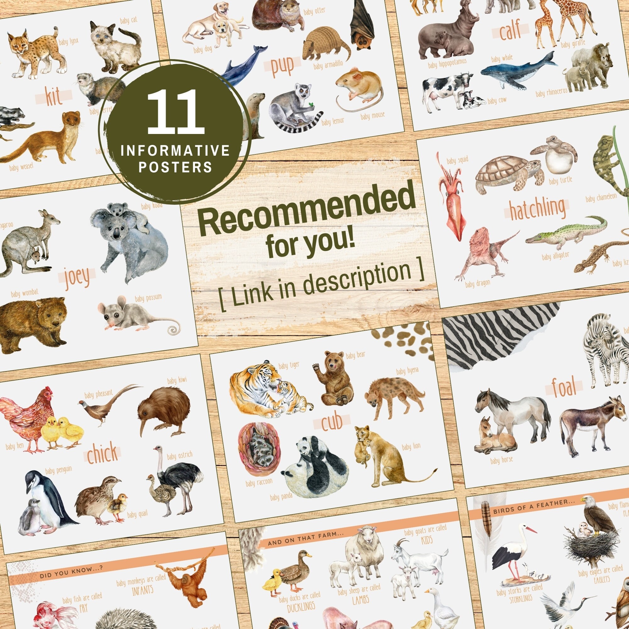 Five Senses Posters Educational Wall Art Printable Hear/touch/sight ...