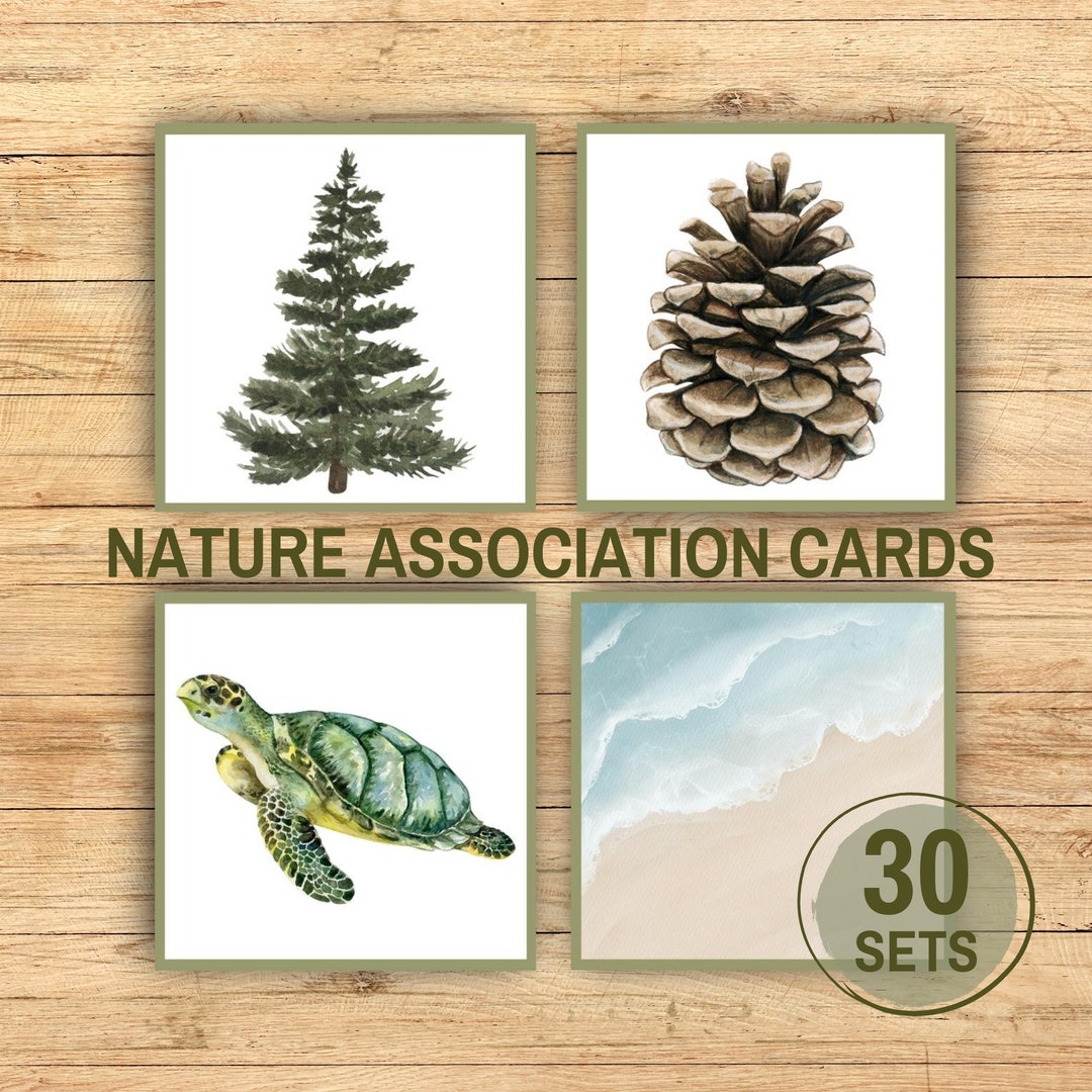 Preschool Matching Activity Printable, What Goes Together, Making ...