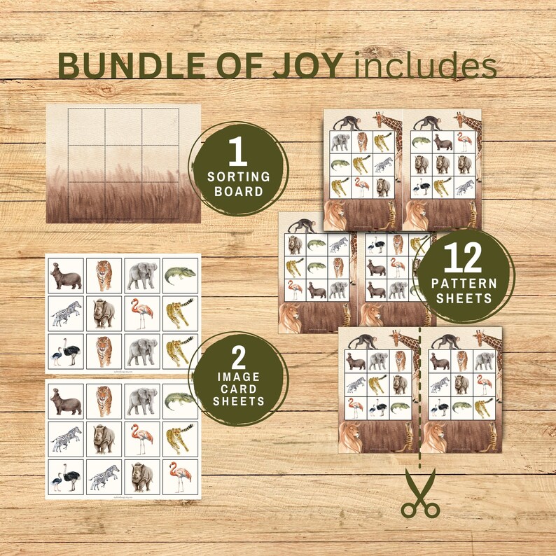 Safari Life Pattern Activity Sorting Picture Card Montessori Resource ...