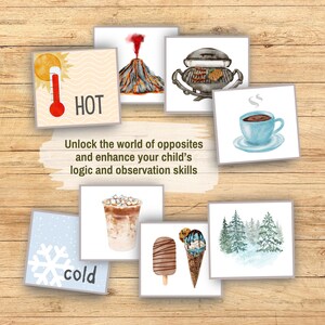 Opposites Sorting Printable Flashcards, Child Development Game ...