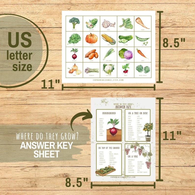 Where Do They Grow Sorting Mats is It a Fruit or Vegetable Sorting ...