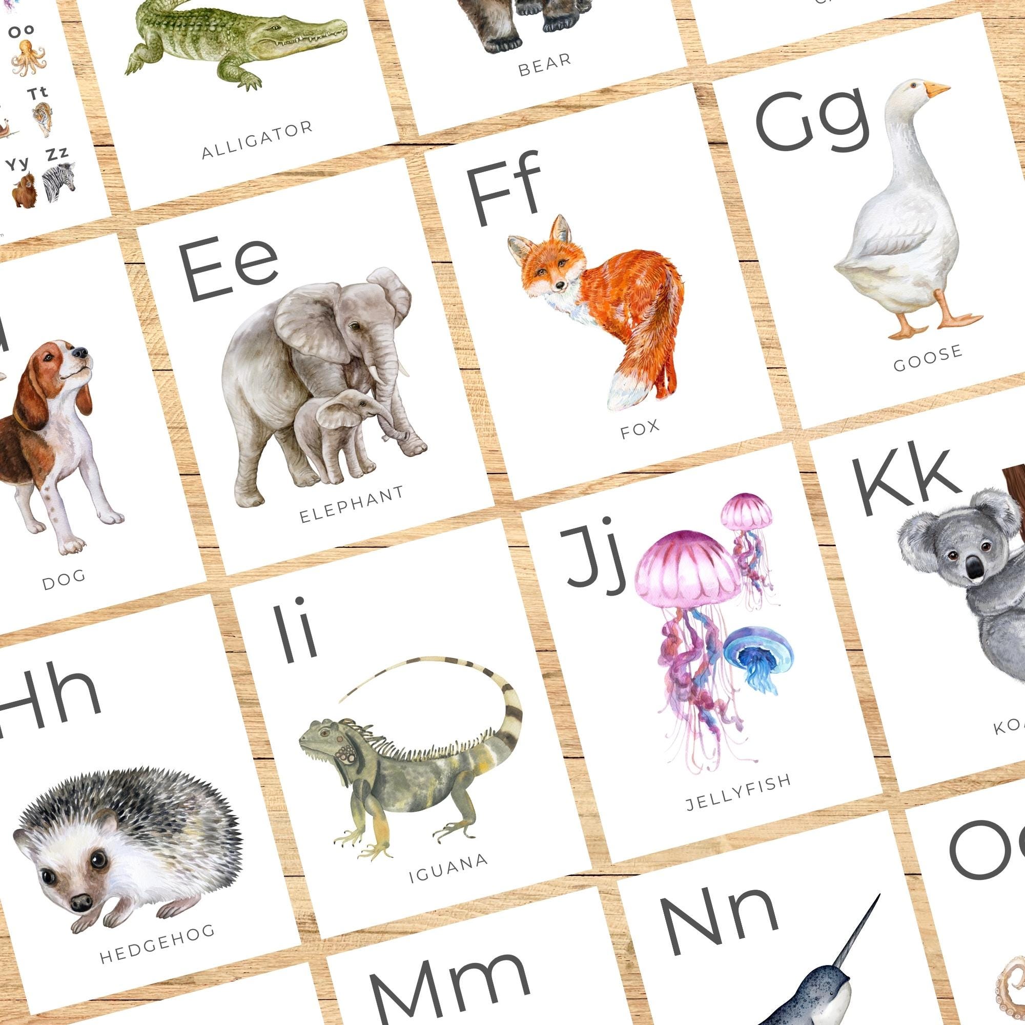 Printable Alphabet Animal Flash Cards Large Format Classroom Use ...