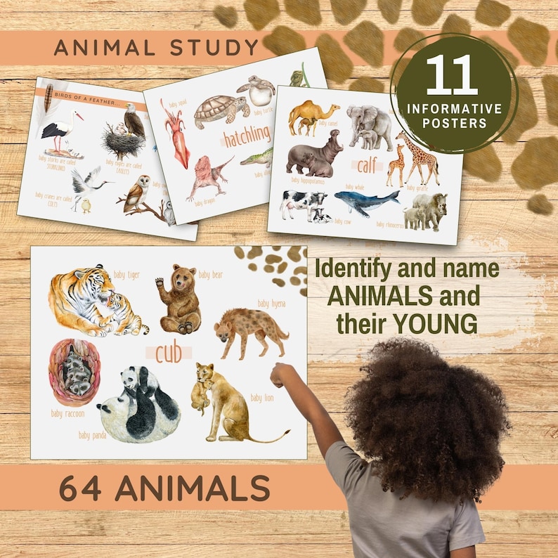 Animal Young Vocabulary Posters Printable Baby Animals Names ...