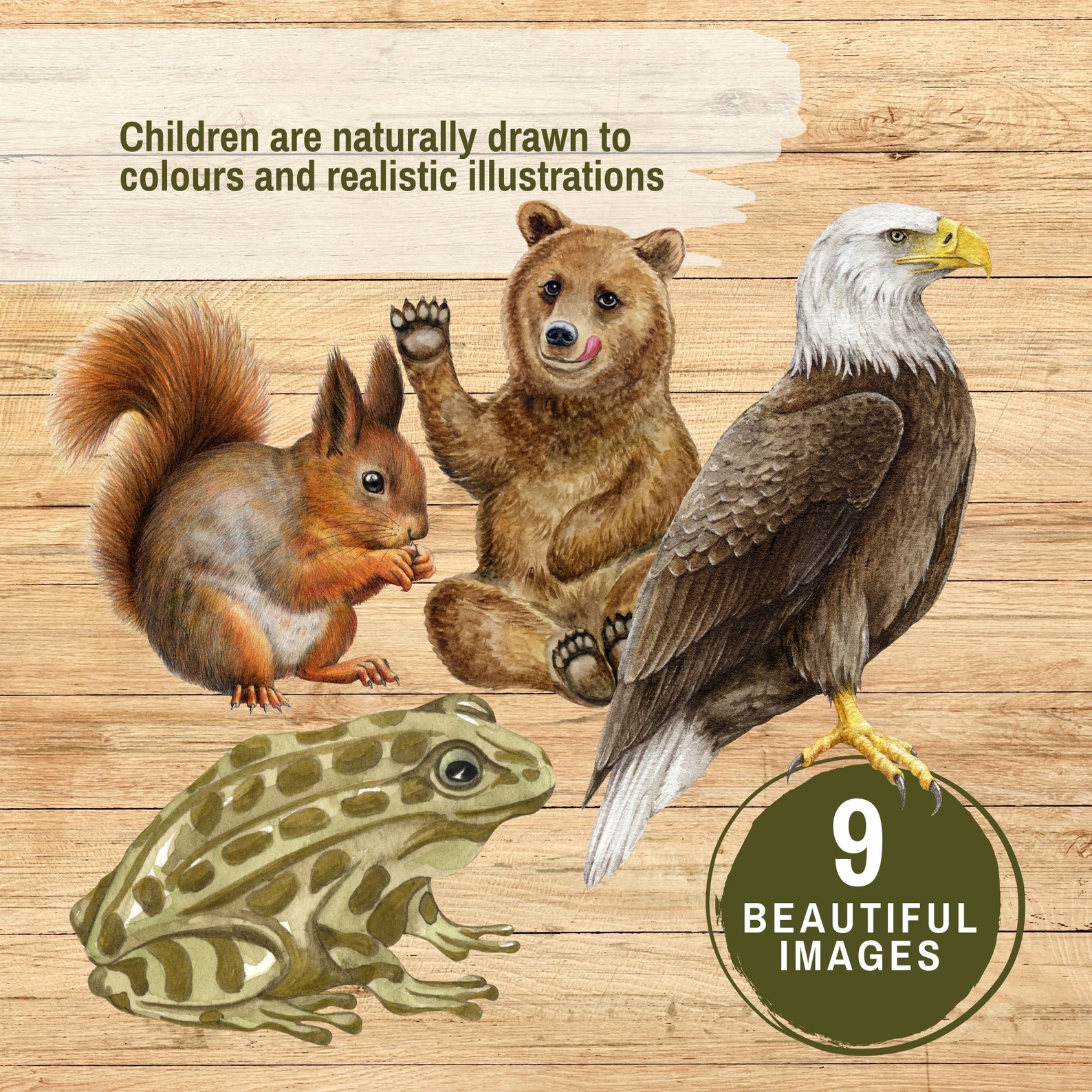 Woodlands Pattern Activity Sorting Picture Card Montessori Resource ...
