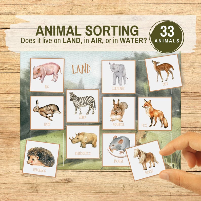 Air Land Water Activity Animal Sorting Game, Categorize Where Animals ...