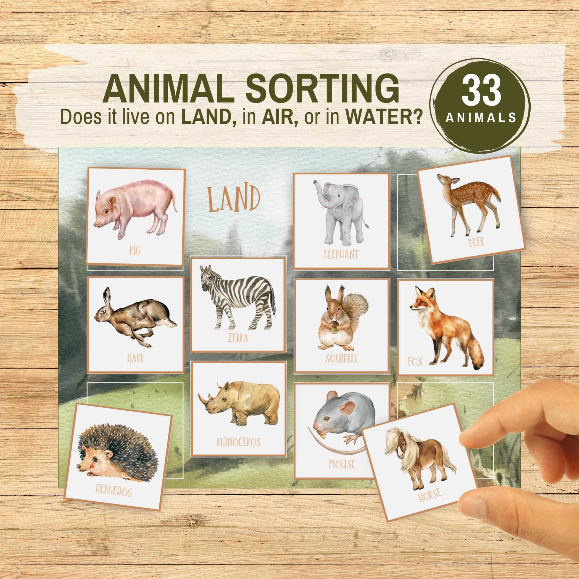 Air Land Water Activity Animal Sorting Game, Categorize Where Animals ...