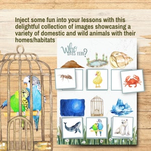 Who Lives Here Animals & Homes Printable Sorting Matching Activity ...