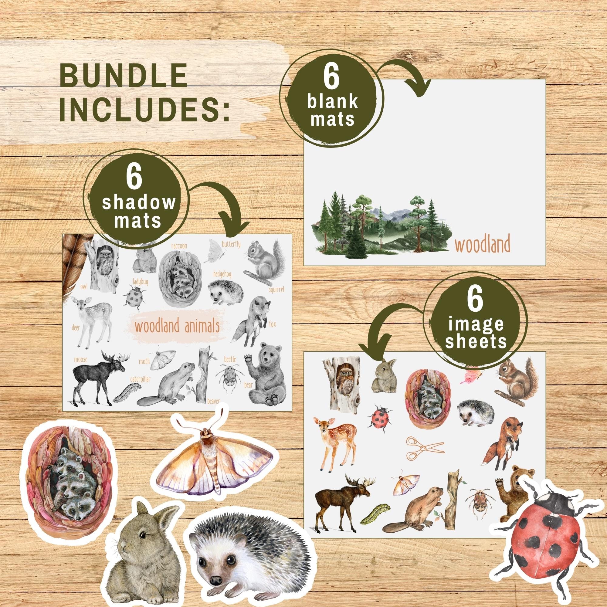 Identify Animal Groups Sorting and Shadow Matching Activity Printable ...
