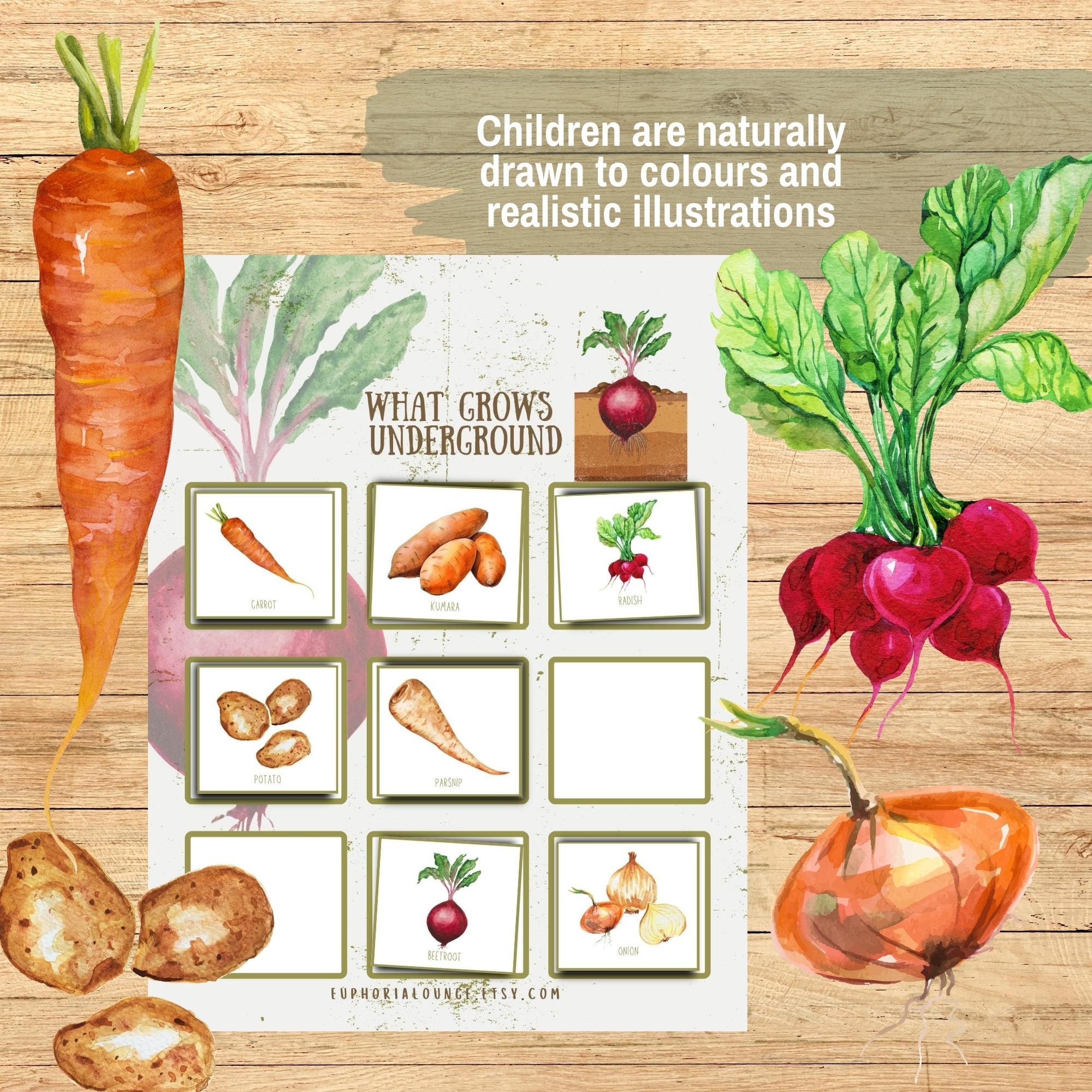 Where Do They Grow Sorting Mats is It a Fruit or Vegetable Sorting ...