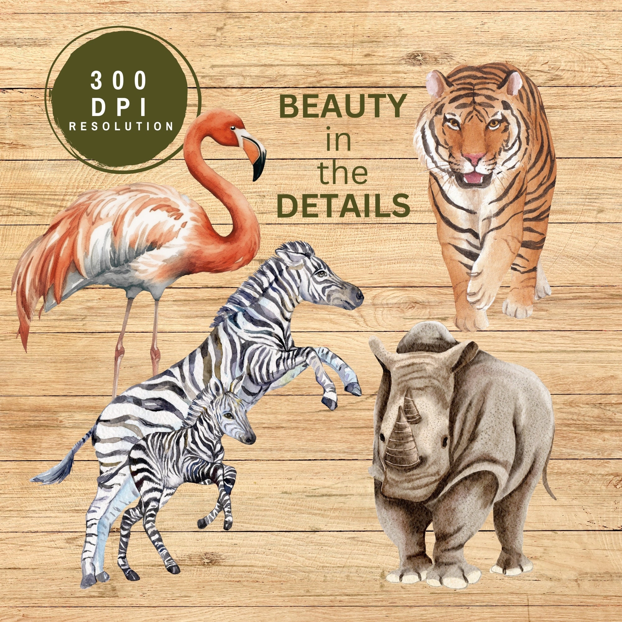 Safari Life Pattern Activity Sorting Picture Cards, Copy the Sequence ...