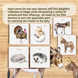 Mommy & Baby Animal Matching Activity Printable Animal Vocabulary ...