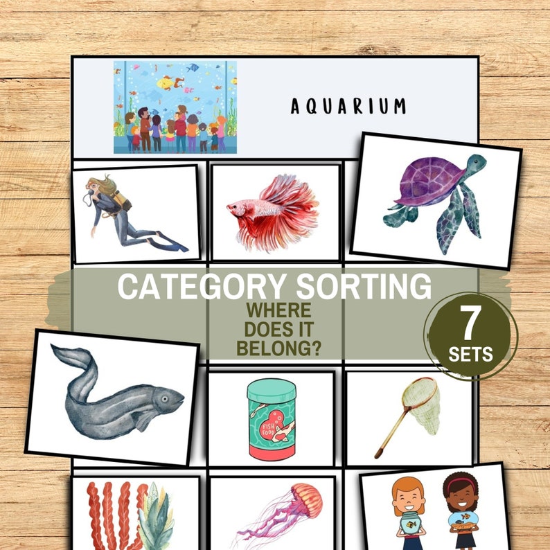 Where Does It Belong Printable Sorting Activity Cards Making ...