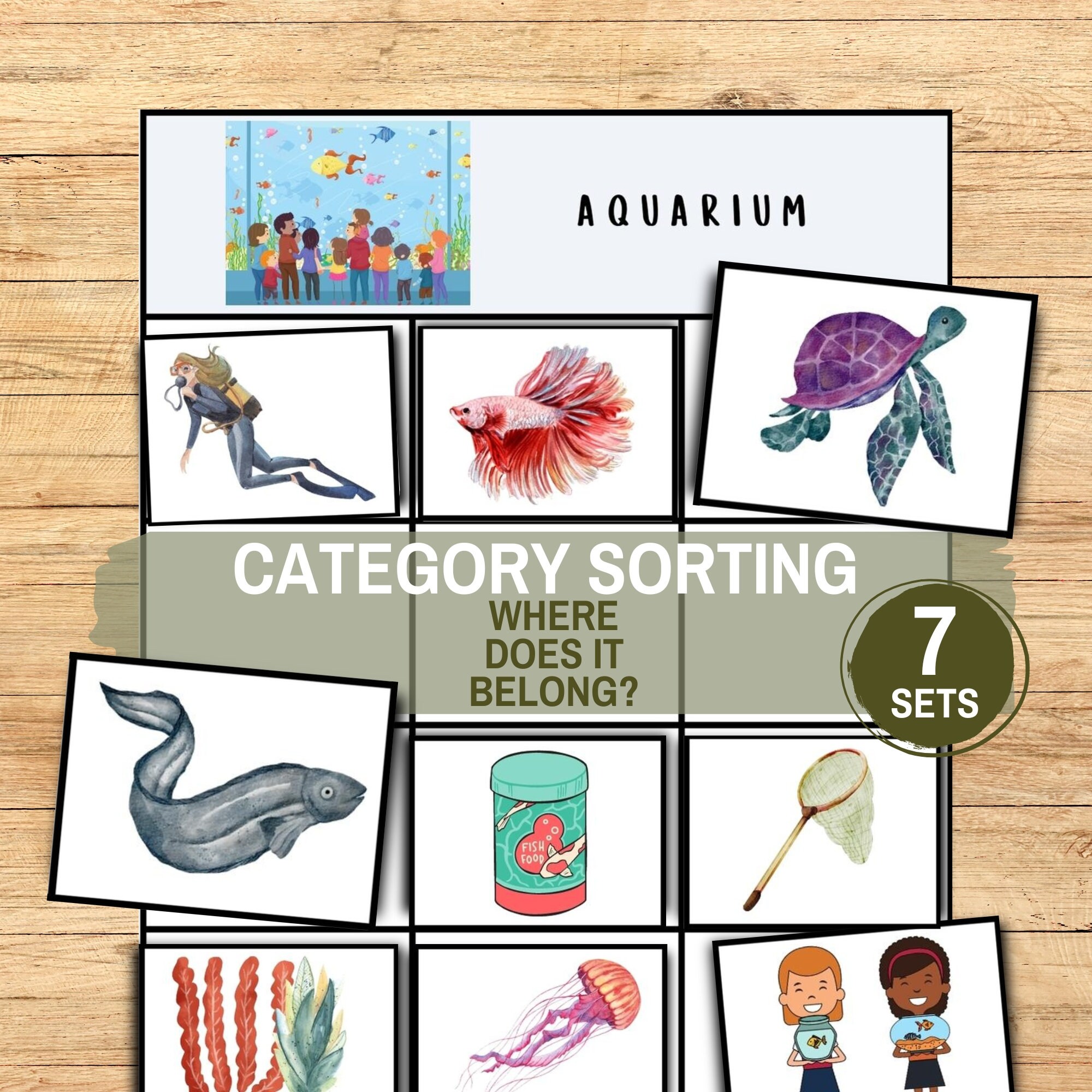 Where Does It Belong Printable Sorting Activity Cards Making ...