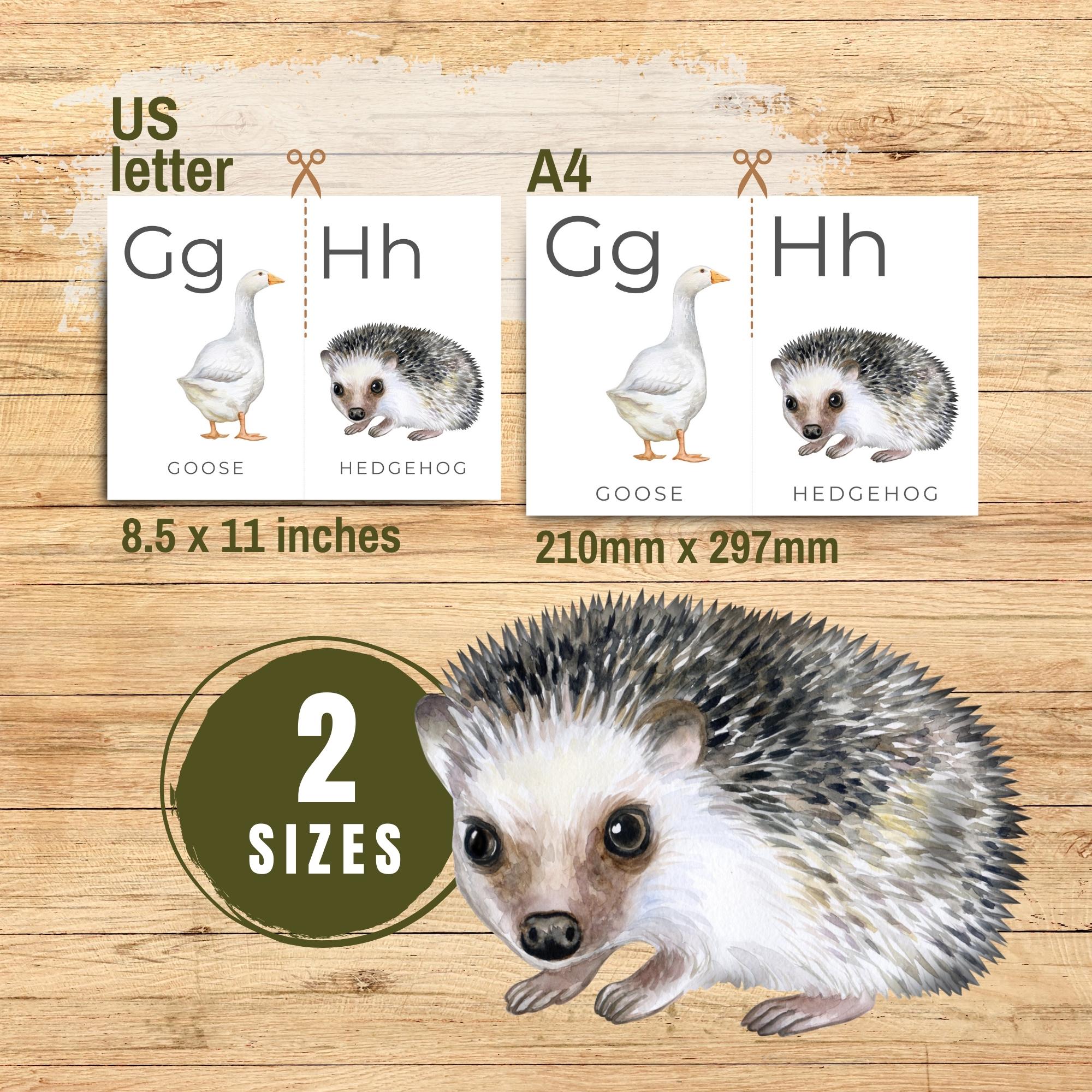 Printable Alphabet Animal Flash Cards Large Format Classroom Use ...