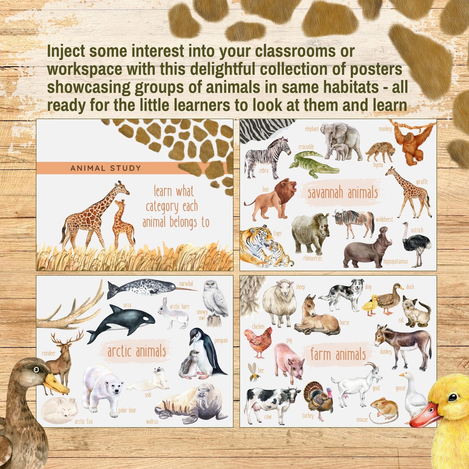 Animal Classification Posters Printable Kids Educational Classroom Wall ...