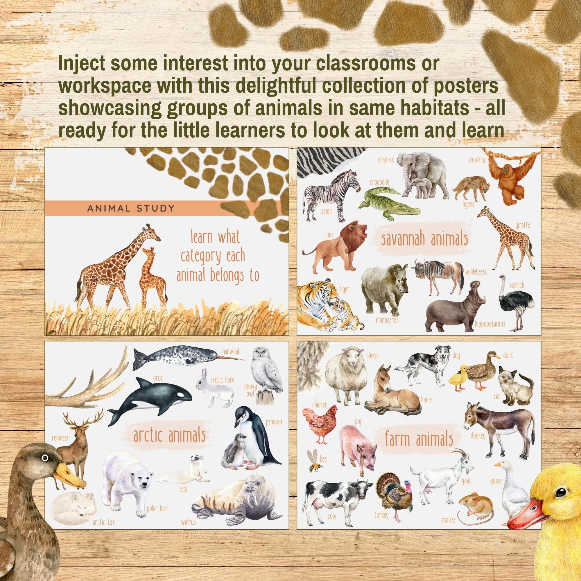Animal Classification Posters Printable Kids Educational Classroom Wall ...