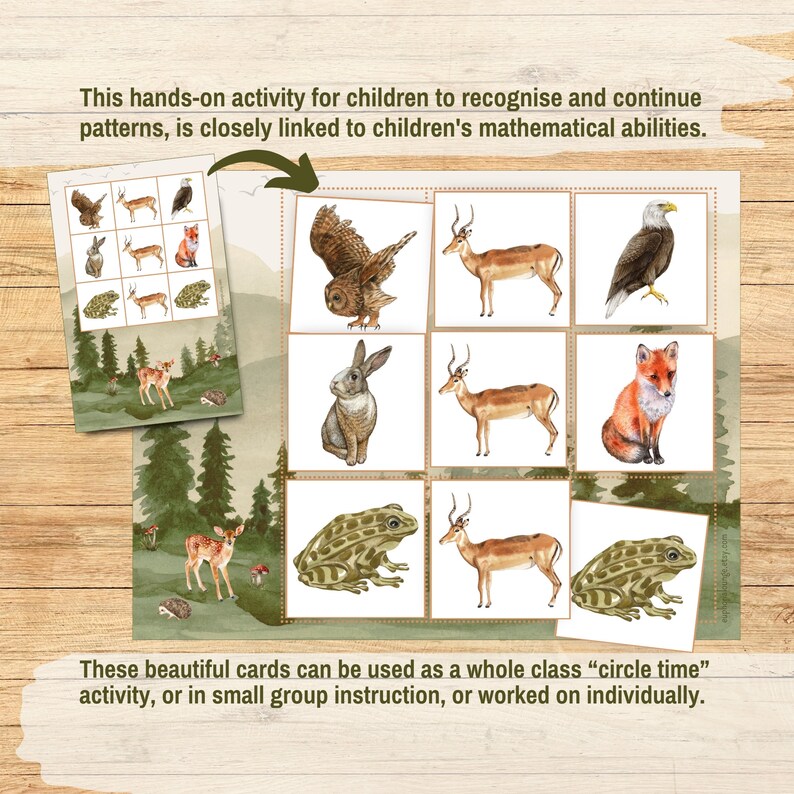 Woodlands Pattern Activity Sorting Picture Card Montessori Resource ...
