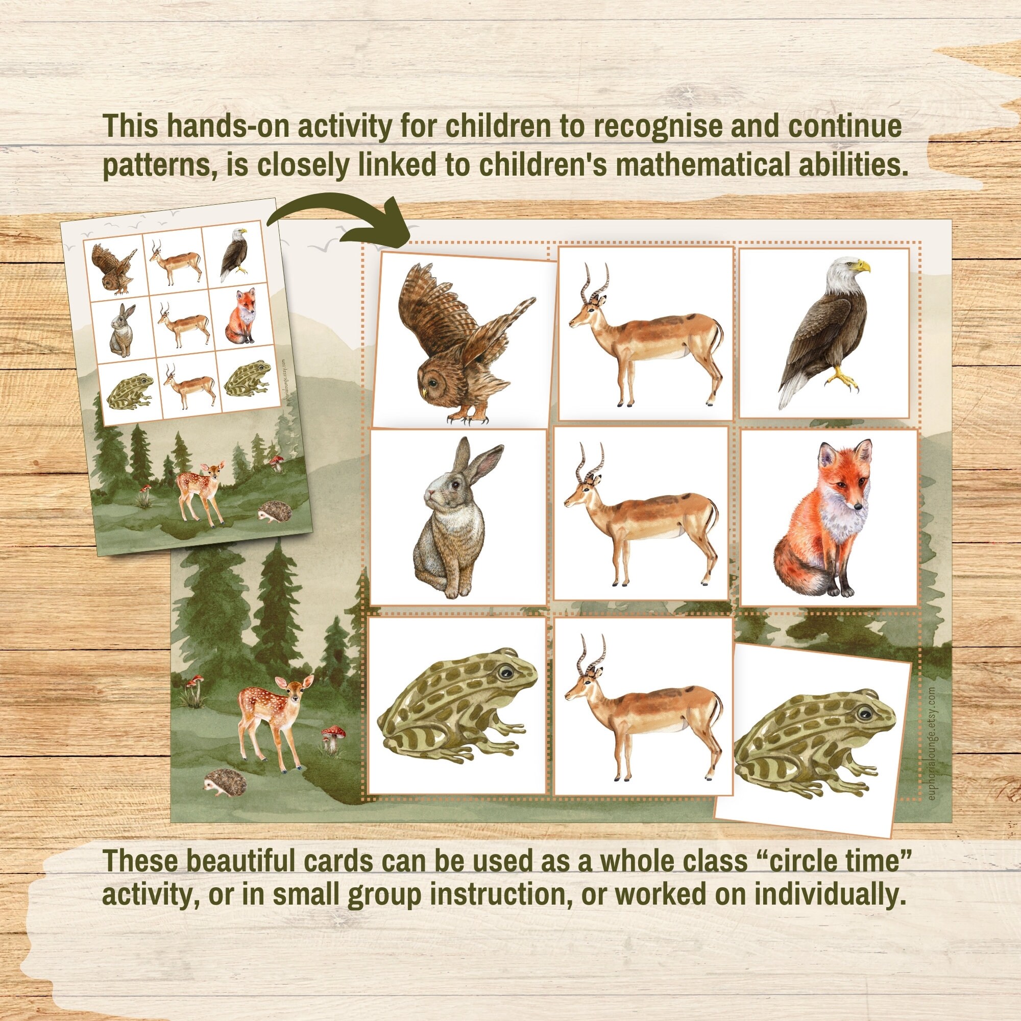 Woodlands Pattern Activity Sorting Picture Card Montessori Resource ...