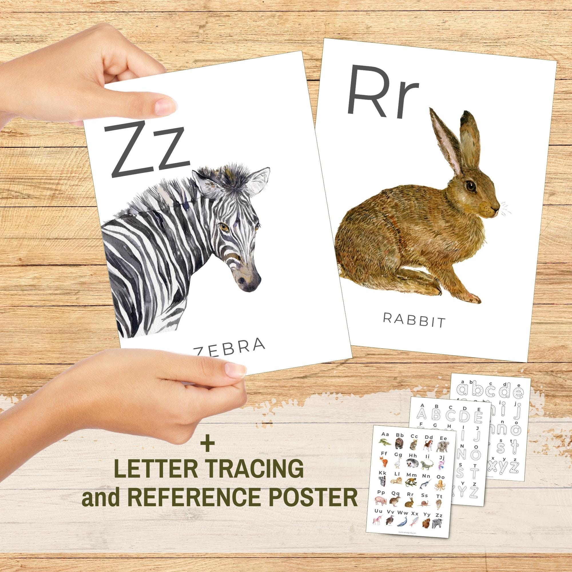 Printable Alphabet Animal Flash Cards Large Format Classroom Use ...