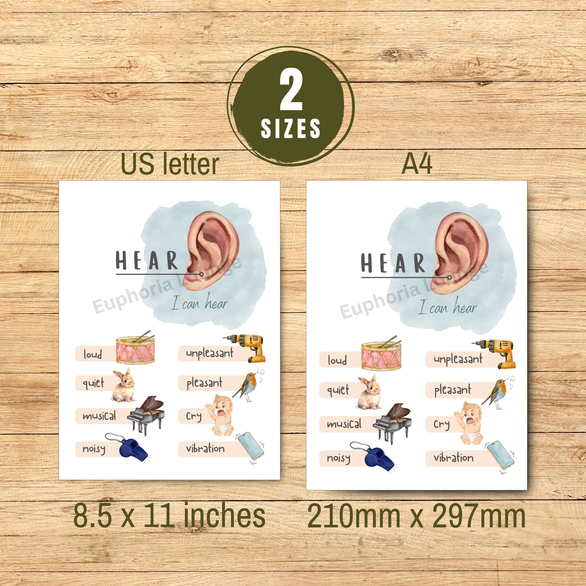 Five Senses Posters Educational Wall Art Printable Hear/touch/sight ...