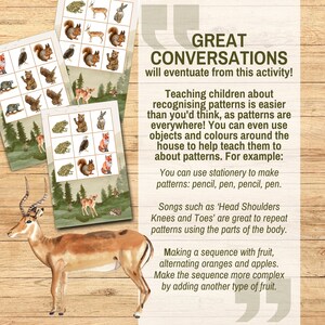 Woodlands Pattern Activity Sorting Picture Card Montessori Resource ...
