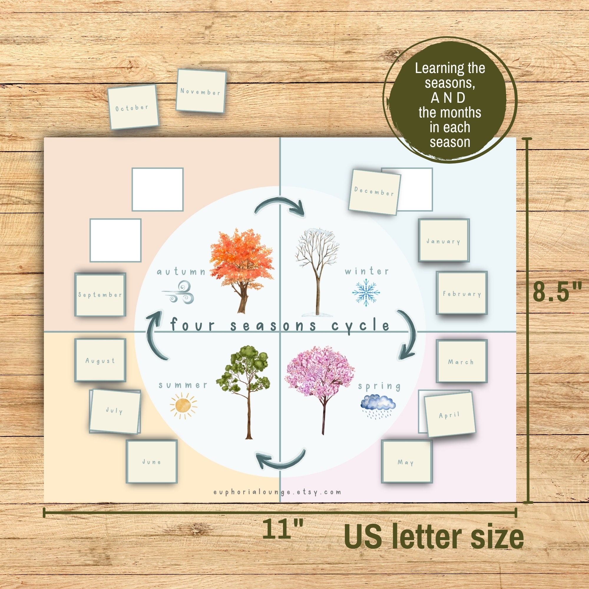 Seasons Cycle & Months of the Year Printable Activities, Homeschool ...