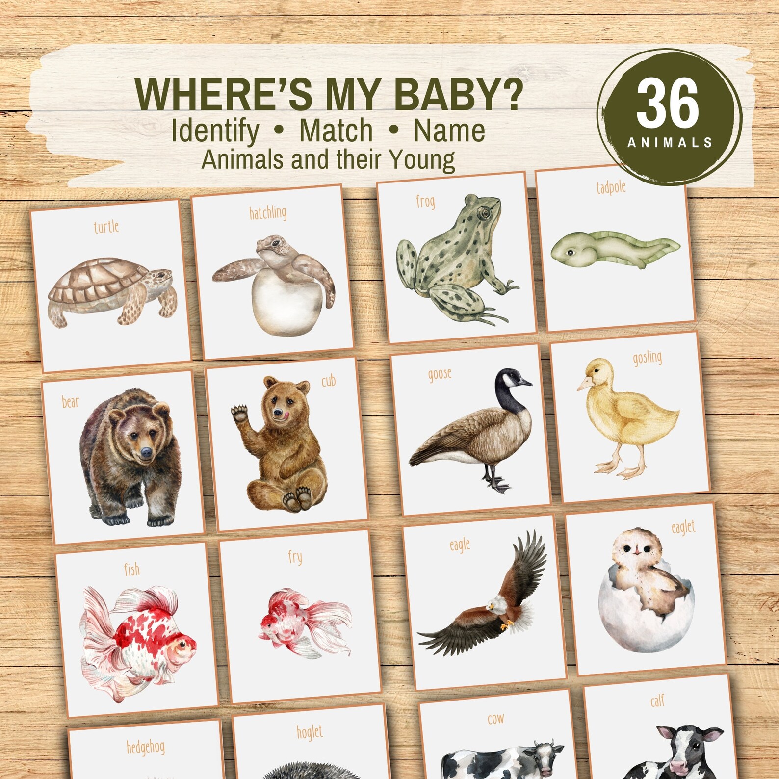 Mommy & Baby Animal Matching Activity Printable Animal Vocabulary ...