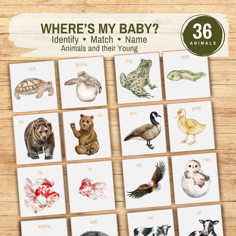 Mommy & Baby Animal Matching Activity Printable Animal Vocabulary ...
