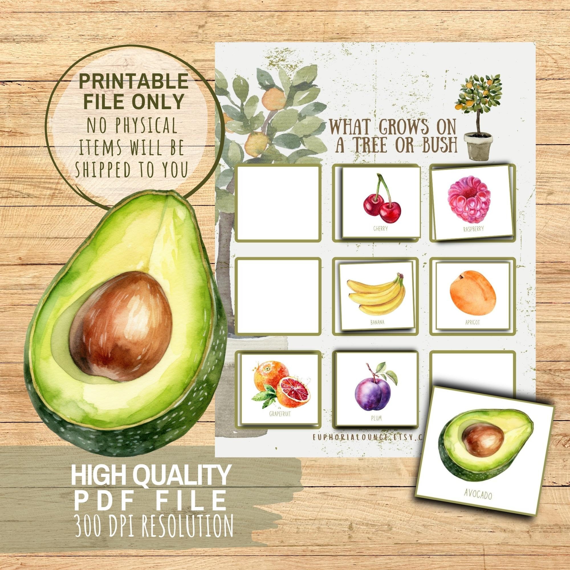 Where Do They Grow Sorting Mats is It a Fruit or Vegetable Sorting ...