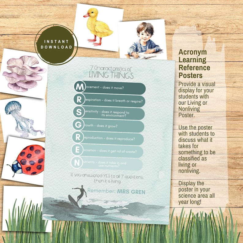 Identify Living & Non-living Things Sorting Activity, Picture Science ...