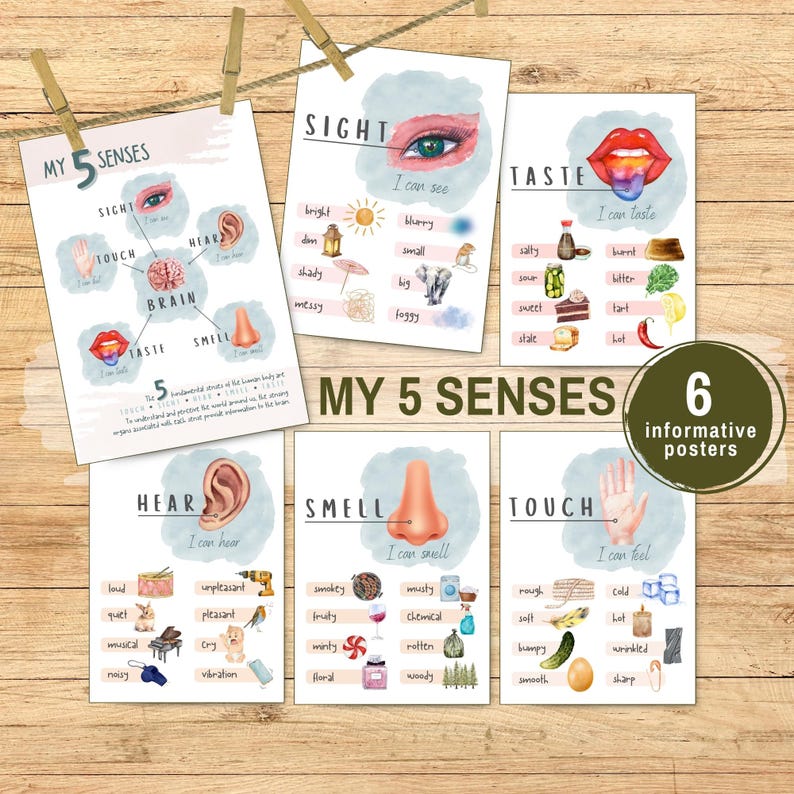 Five Senses Posters Educational Wall Art Printable Hear/touch/sight ...