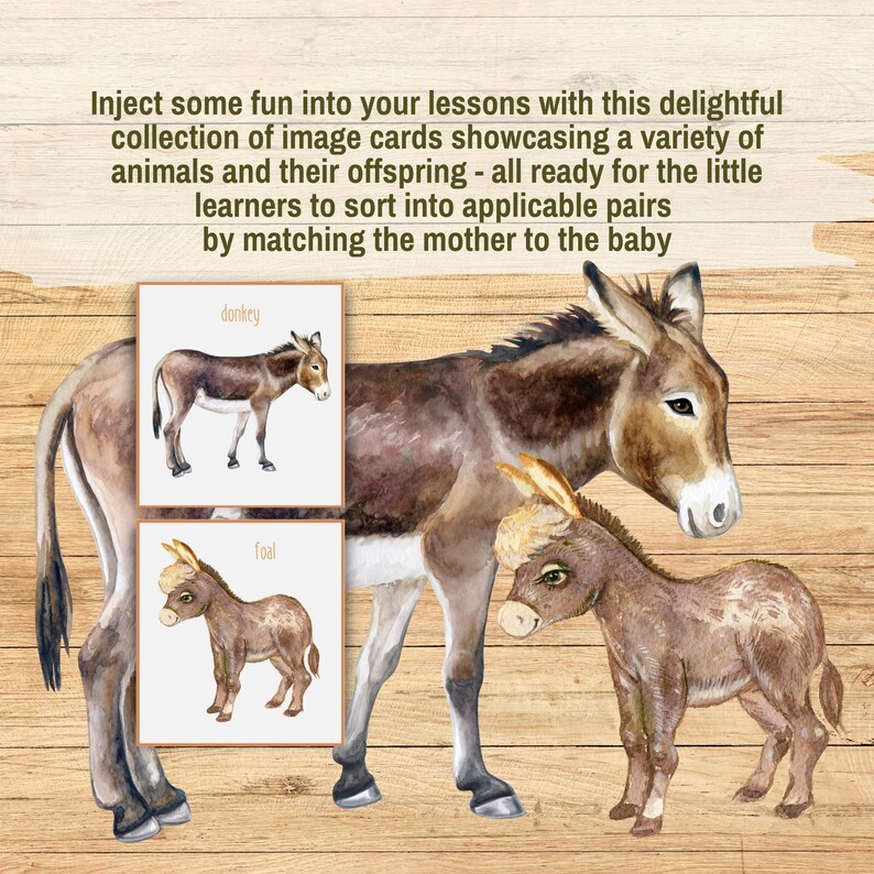 Mommy & Baby Animal Matching Activity, Parent Animal and Offspring ...