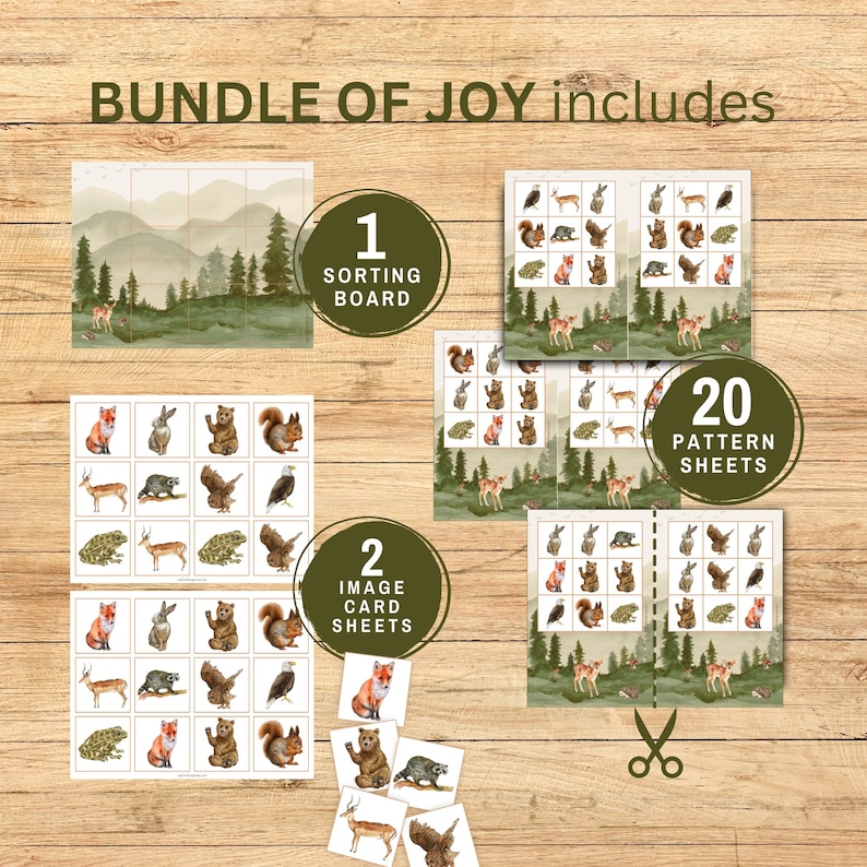 Woodlands Pattern Activity Sorting Picture Card Montessori Resource ...