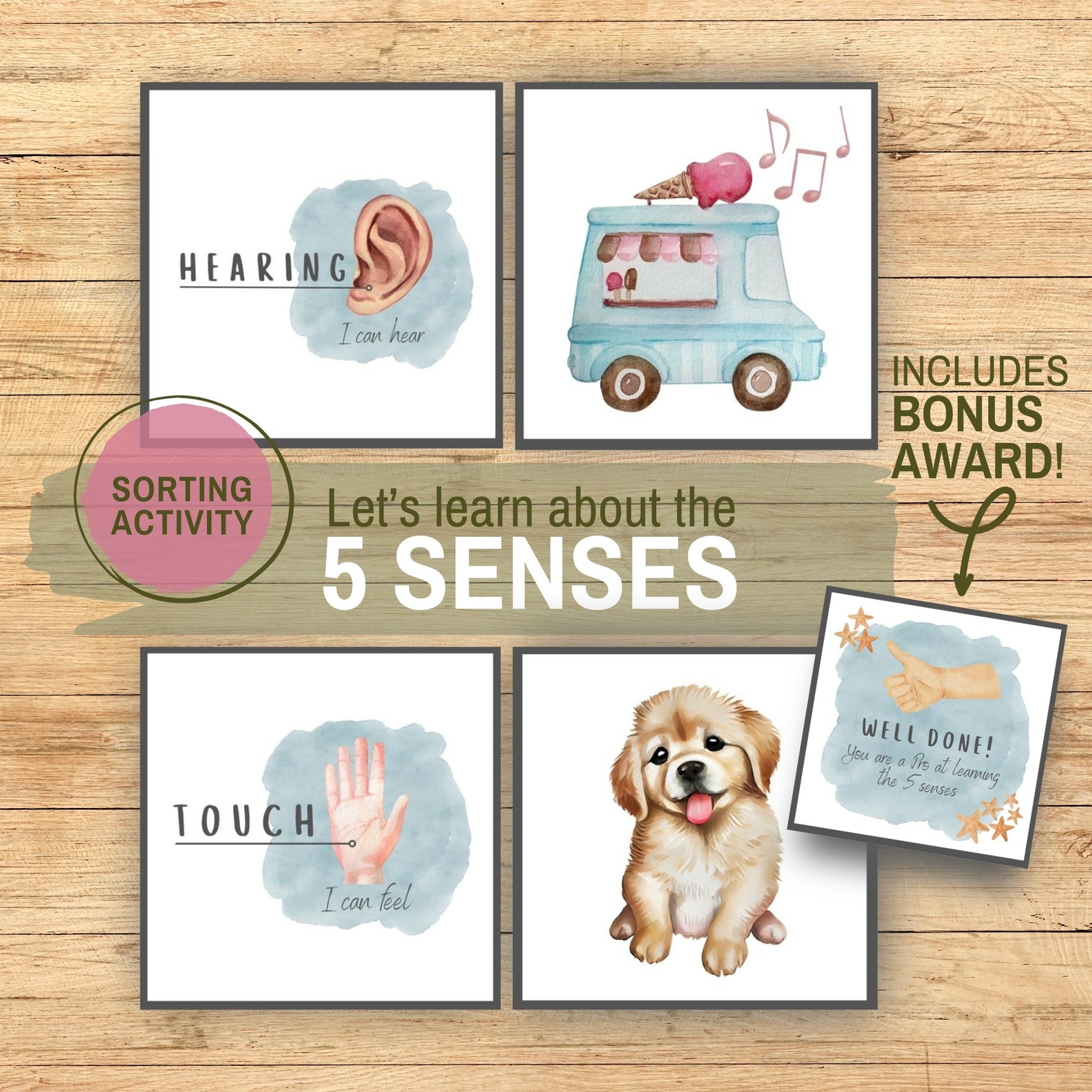 Five Senses Sorting Activity Printable, Kids Printable Game, Hear/touch ...