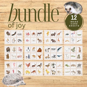 Mommy & Baby Animal Matching Activity Printable Animal Vocabulary ...