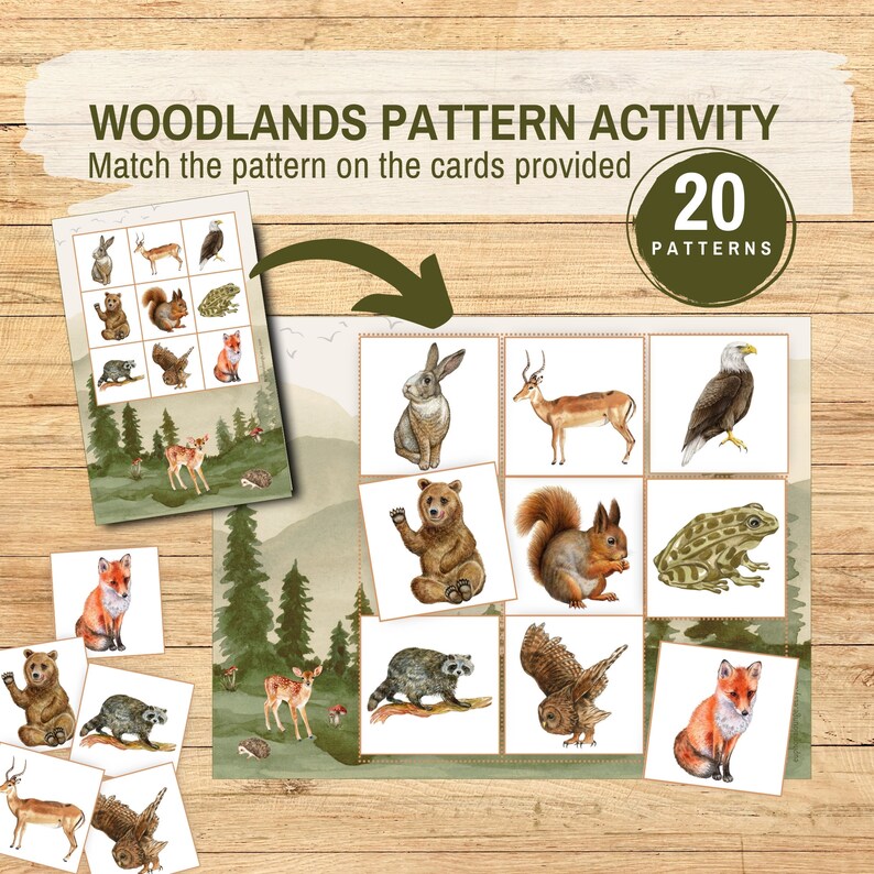 Woodlands Pattern Activity Sorting Picture Card Montessori Resource ...