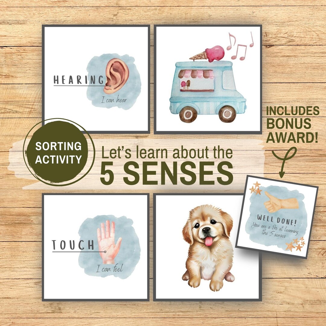 Five Senses Sorting Activity Printable, Kids Printable Game, Hear/touch ...