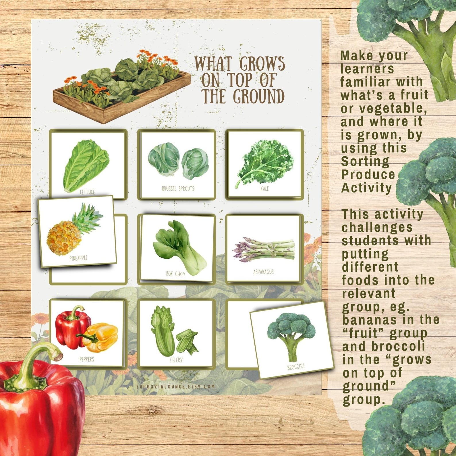 Where Do They Grow Sorting Mats, is It a Fruit or Vegetable Sorting ...
