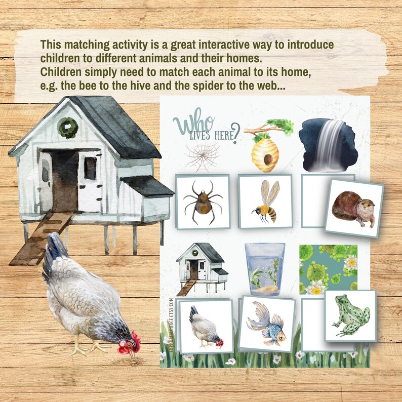 Who Lives Here Animals & Homes Printable Sorting Matching Activity ...