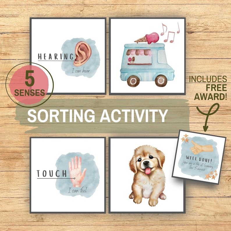 Five Senses Sorting Activity Printable Kids Printable Game - Etsy