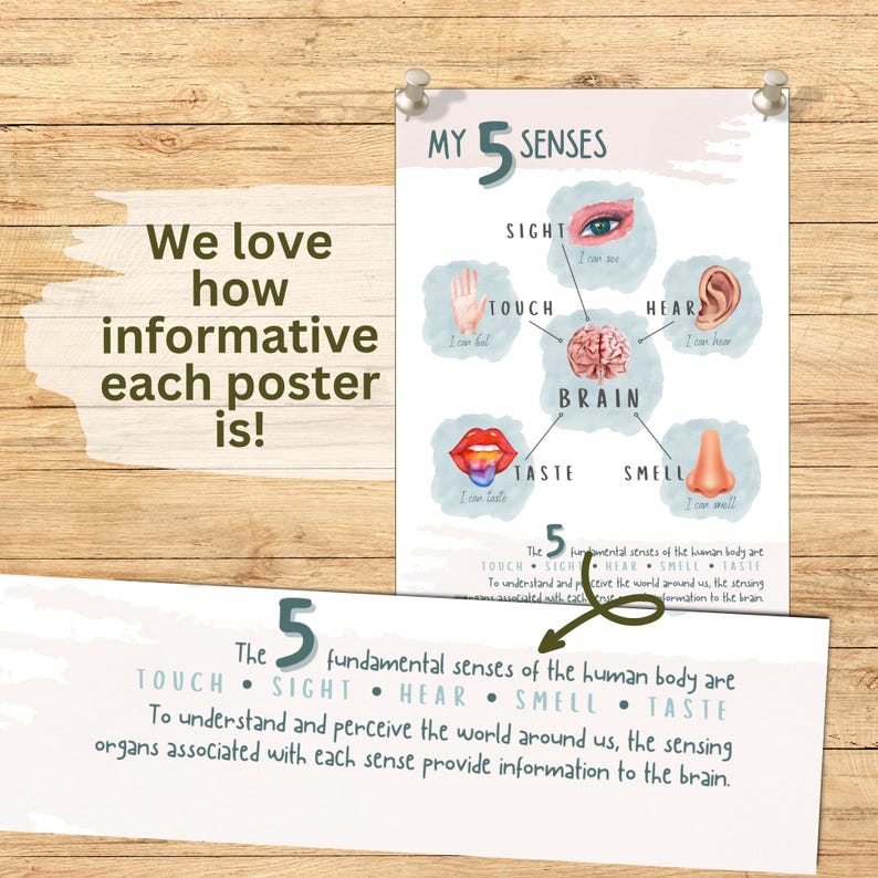 Five Senses Posters Educational Printable Wall Art, Hear/touch/sight ...