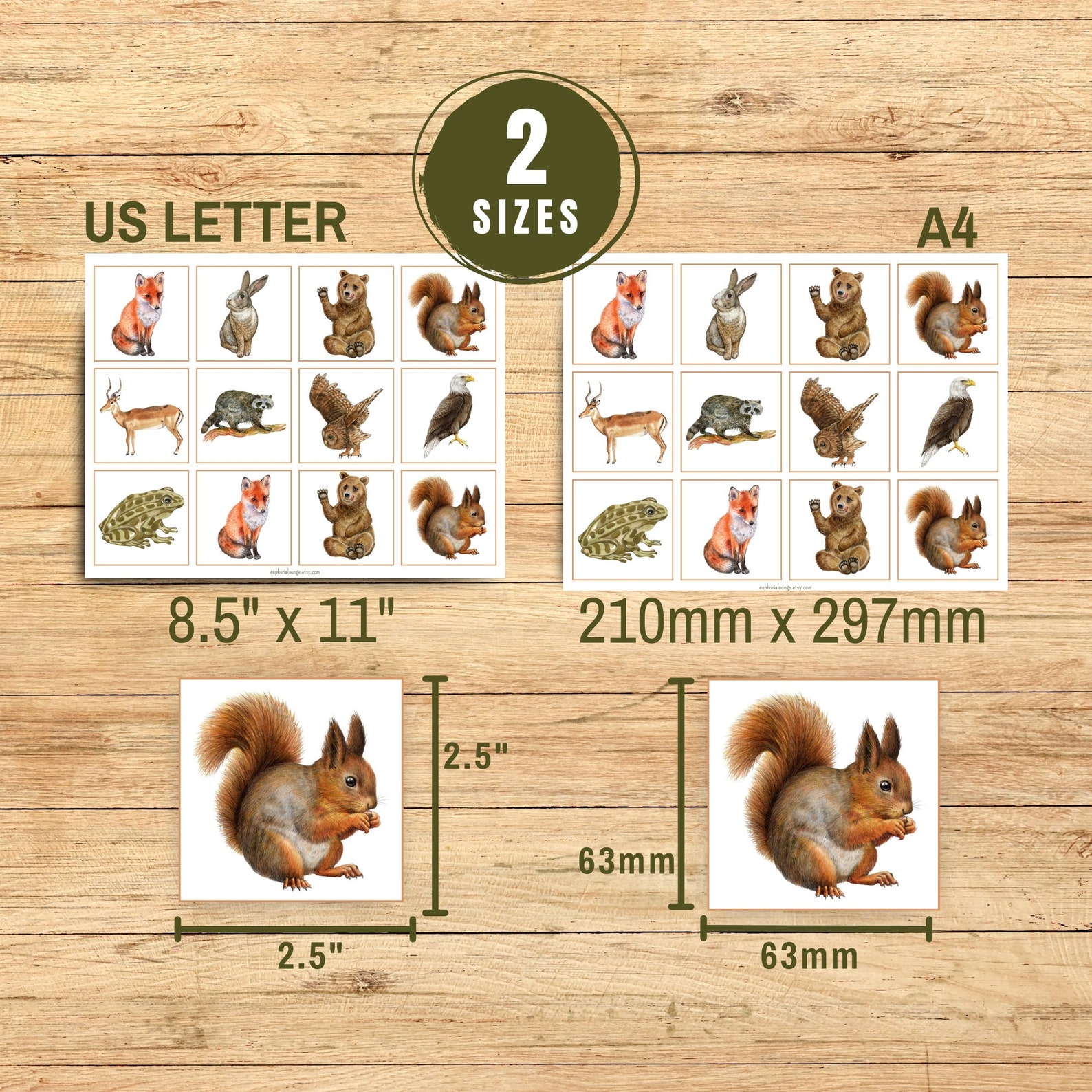 Woodlands Pattern Activity Sorting Picture Card Montessori Resource ...