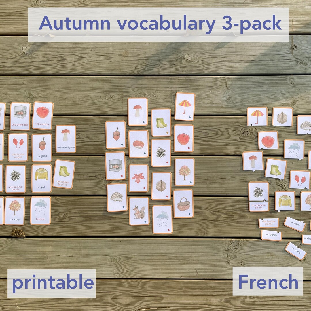 Autumn Vocabulary French Cards 3-pack - Etsy