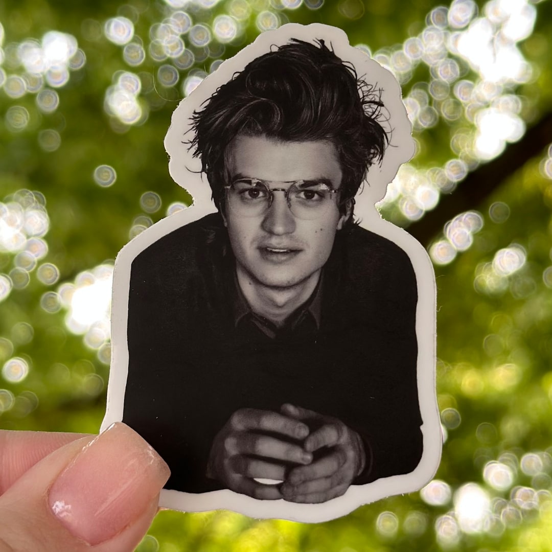 Joe Keery Vinyl Sticker - Etsy